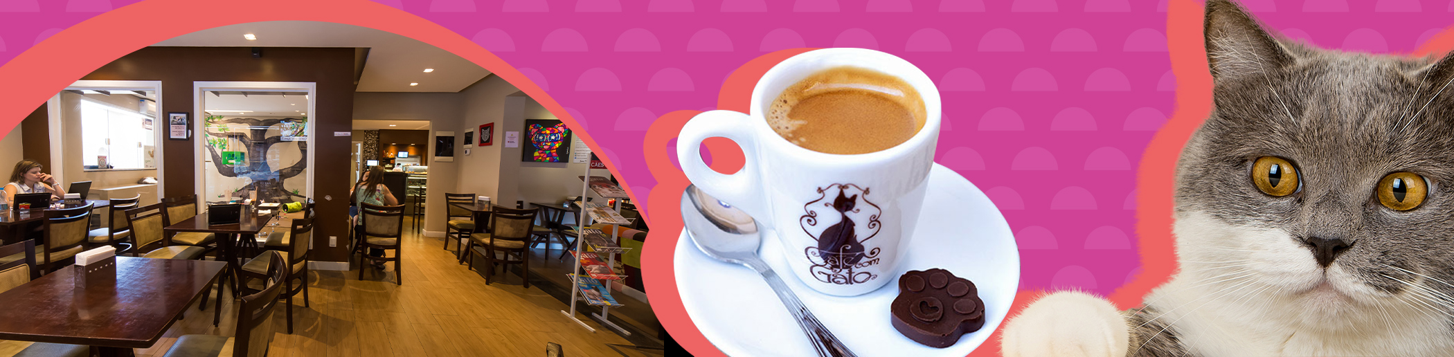 Café com gato: uma combinação de sucesso | Assaí Atacadista
